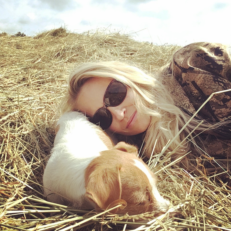 Back to basic – Trigger Diary